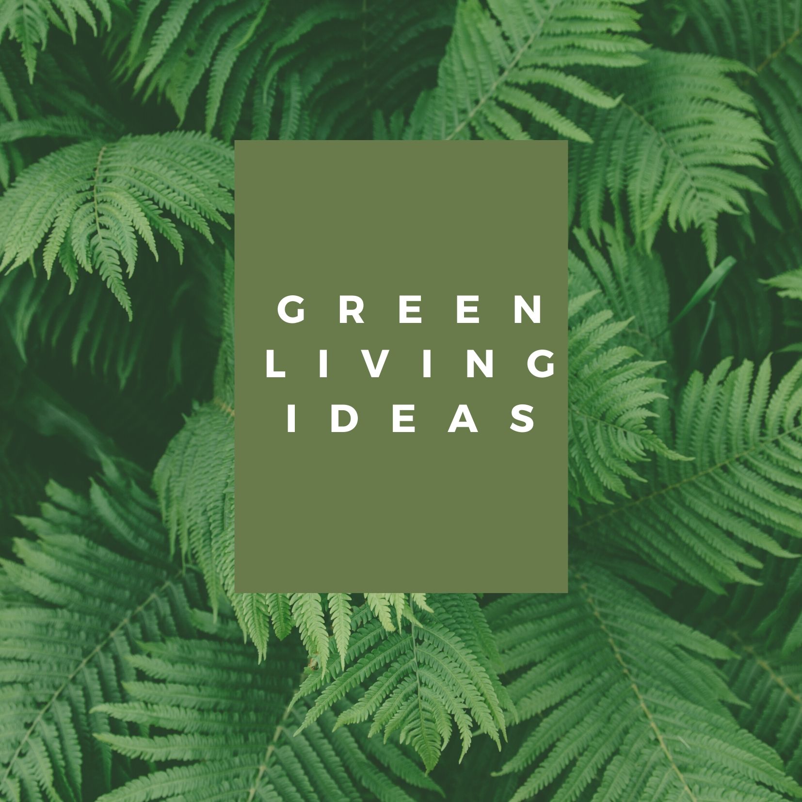 Simply Sustainable Living Ideas - Eco Friendly & Bamboo Products